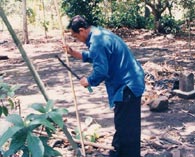 Wau - Cara-Cara Membuat Wau